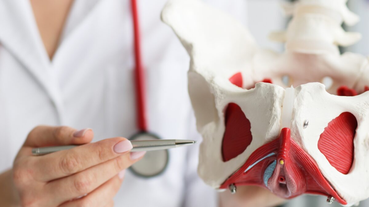 Why Is Pelvic Floor Health Important? - Path to Wellness Integrated ...